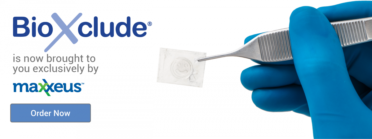 Home | maxxeusdental.com